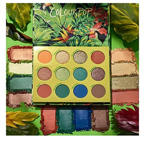 Lush Life Eyeshadow Palette