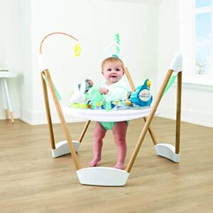 Evenflo Exersaucer Wood Frame Jumper, Woodland Wonder