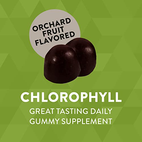 Nature’s Way Chlorophyll Gummies, Healthy Skin and Body Detox*, Orchard Fruit Flavored, 60 Gummies