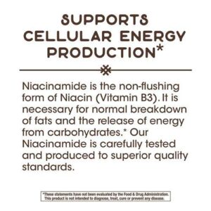 Nature's Way Niacinamide 500mg, Pack of 3