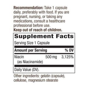 Nature's Way Niacinamide 500mg, Pack of 3