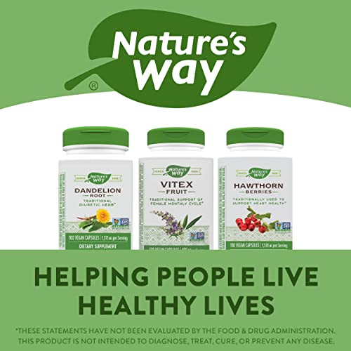 Nature’s Way Vitex Fruit, Traditional Support of Monthly Cycle*, Vegan, Non-GMO, 320 Capsules