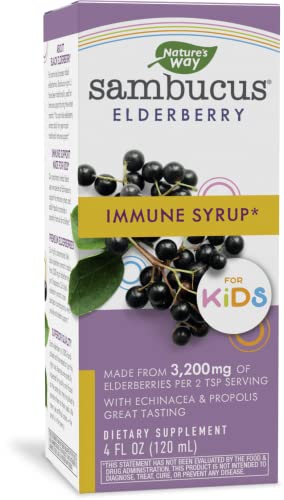 Nature's Way Sambucus Elderberry Immune Syrup for Kids with Echinacea & Propolis, Immune Support*, Berry Flavored, 4 Fl. Oz.