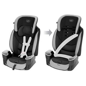 Evenflo Maestro Sport Harness Booster Car Seat Palisade