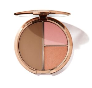 bobbi brown face and cheek palette – light