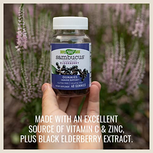 Nature’s Way Sambucus Elderberry Gummies, Immune Support Gummies*, Black Elderberry with Vitamin C and Zinc, 40 Gummies