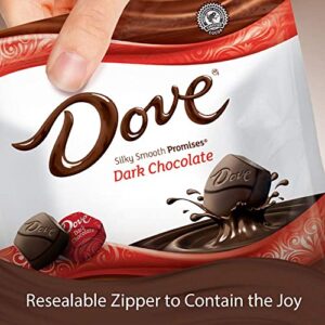 Dove Promises Dark Chocolate Candy Bag, 15.8 Oz