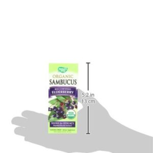 Nature's Way USDA Organic Sambucus Elderberry Syrup, Herbal Supplements, Gluten Free, Vegetarian, 4 Ounce (Packaging May Vary)