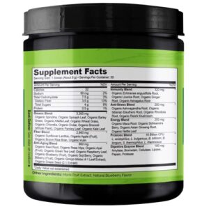 NATURELO Raw Greens Superfood Powder - Wild Berry Flavor - Boost Energy, Detox, Enhance Health - Organic Spirulina - Wheat Grass - Whole Food Nutrition from Fruits & Vegetables - 30 Servings