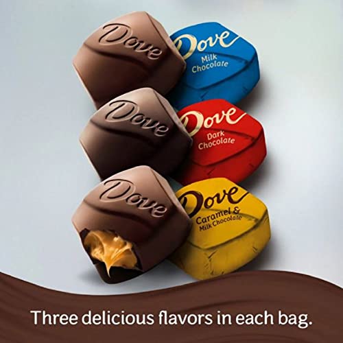 Dove Promises Assorted Milk & Dark Chocolate Candy (31 oz., 108 ct.)