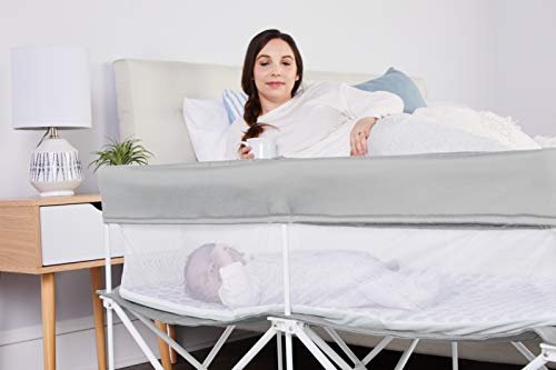 Regalo My Crib Portable Infant Bassinet, Includes Design Padded Insert, Travel Carry Bag, Support Tubes, Step Safety Locking Mechanism