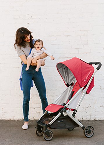 UPPAbaby MINU/MINU V2 Stroller Rain Shield