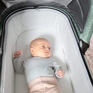 Bassinet - Gwen (Green mélange/Carbon)