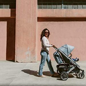 UPPAbaby Cruz V2 Stroller - Alice (Dusty Pink/Silver/Saddle Leather) + Bassinet - Alice (Dusty Pink/Silver)