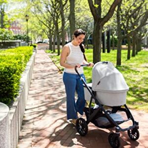 Bassinet- Anthony (White and Grey Chenille/Carbon)