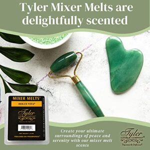 Worldwide Nutrition Tyler Candle Company Dolce Vita Scent Wax Melts - Soy Wax Scented Mixer Melts with Essential Oils for Wax Warmer - Pack of 4, 6 Bars per Melt Multi Purpose Key Chain