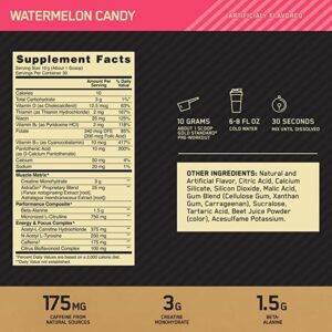 Optimum Nutrition Watermelon Candy Pre Workout || Salty Pelican Spearmint Chapstick