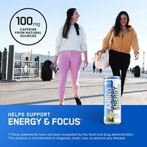 Optimum Nutrition Amino Energy Drink + Electrolytes for Hydration - Sugar Free, Amino Acids, BCAA, Keto Friendly, Sparkling Drink - Blueberry Lemonade, Pack of 12 (Packaging May Vary)