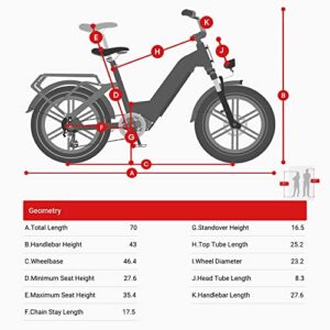 Himiway Big Dog Cargo Electric Bike,750W E-Bikes for Adults, 48V 20Ah Removable Battery, 400 Lbs Max Load & Upgrade Hydraulic Braking System,25Mph, Shimano 7-Speed