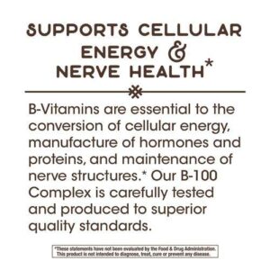 Natures Way Vitamin B-100 Complex Capsules For Energy And Nerves - 60 Ea