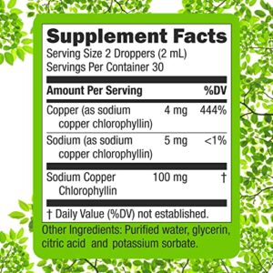 Super Natural Goods Chlorophyll Liquid Drops - Chlorophyll Drops for Immune Support, Morning Energy Boost, Body Odor, Acne, Digestion Support, & Fast Detox - Natural & Vegan