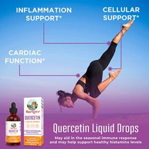 USDA Organic Turmeric Gold Liquid Herbal Drops & Quercetin Liquid Drops Bundle by MaryRuth's | Immune & Digestive Support | Inflammation Support | Cellular Health | Sugar Free | Vegan | Non-GMO