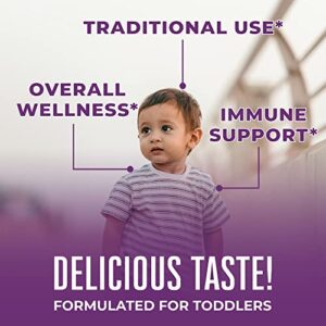 Toddler Multivitamin Gummies & USDA Organic Elderberry Liquid Drops for Toddlers Bundle by MaryRuth's | Vitamin C, D3, Zinc | Overall Health | Vegan | Non-GMO | Gluten Free