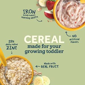 Gerber Baby Cereal, Oatmeal & Barley, Apple Cinnamon, 4.5 Ounce Self-Feeding Trays (Pack of 8)