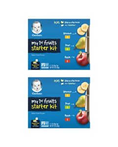 gerber my 1st fruits starter kit, banana, pear & apple puree, 2 ounce tubs, 2-pack (set of 6)