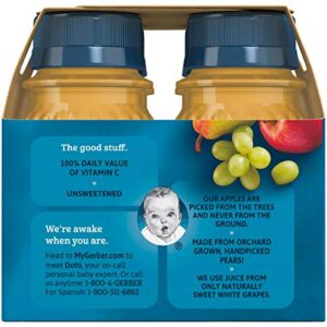 Gerber Juice Fruit Variety (Pack of 2)