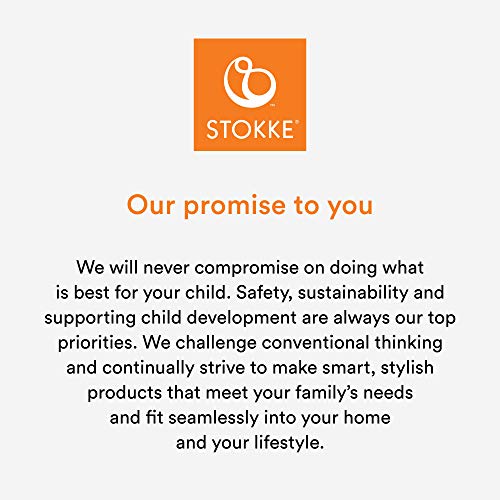 Stokke PIPA by Nuna Car Seat Base, Black - Effortless Installation - for Babies Up to 32 lbs. - Steel Stability Leg for Safety - Latch Compatible