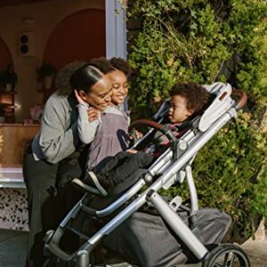 UPPAbaby Vista V2 Stroller - Alice (Dusty Pink/Silver/Saddle Leather) + Mesa Infant Car Seat - Jake (Black)