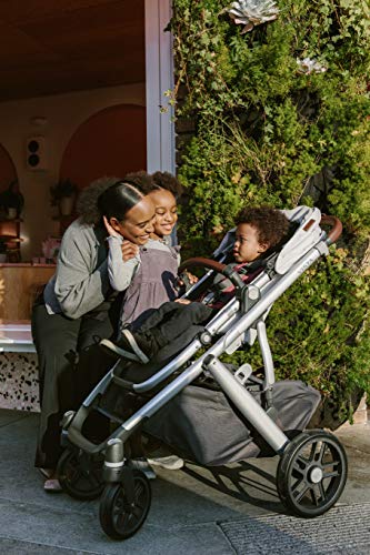 UPPAbaby Vista V2 Stroller - Alice (Dusty Pink/Silver/Saddle Leather) + Mesa Infant Car Seat - Jake (Black)