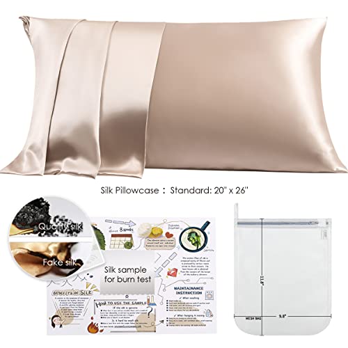 PROMEED 100% Silk Pillowcase for Hair and Skin, Both Sides Grade 6A+ 23 Momme Mulberry Silk Pillow Case with Hidden Zipper, 1400 TC, Soft & Smooth (Standard 20"x26", Champagne)