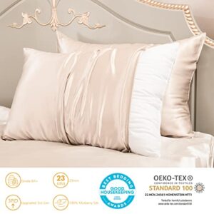 PROMEED 100% Silk Pillowcase for Hair and Skin, Both Sides Grade 6A+ 23 Momme Mulberry Silk Pillow Case with Hidden Zipper, 1400 TC, Soft & Smooth (Standard 20"x26", Champagne)