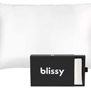 Blissy Silk Pillowcase - 100% Pure Mulberry Silk - 22 Momme 6A High-Grade Fibers - Satin Pillowcase for Hair & Skin - Regular, Queen & King Size Silk Pillow Case with Hidden Zipper - Moisture Wicking