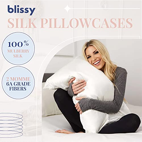 Blissy Silk Pillowcase - 100% Pure Mulberry Silk - 22 Momme 6A High-Grade Fibers - Satin Pillowcase for Hair & Skin - Regular, Queen & King Size Silk Pillow Case with Hidden Zipper - Moisture Wicking