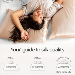 Colorado Home Co - Silk Pillowcase for Hair and Skin - Queen Size - Highest Grade 6A - Soft Acne Free - Mulberry Silk Pillow Case - Silk Slip Silk Both Sides - Off White Silk Pillowcase