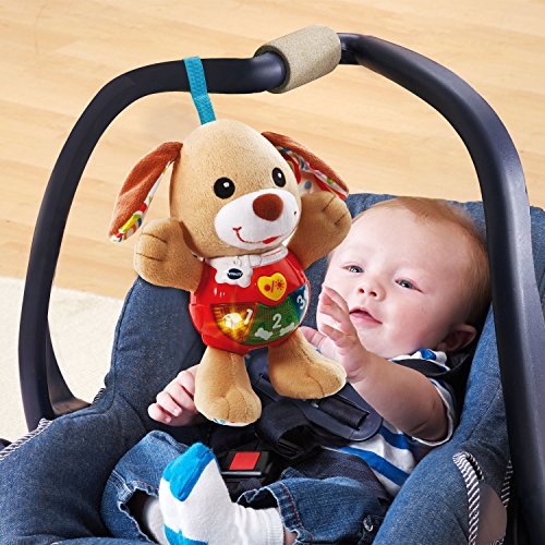 VTech Baby Cuddle and Sing Puppy