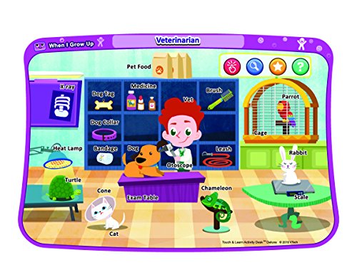 VTech Touch and Learn Activity Desk Deluxe Expansion Pack - When I Grow Up