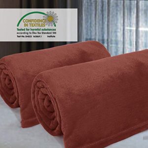 Rendiele Fleece Throw Blankets Fluffy Warm Solid Color Blankets for Bed (Terracotta, 9090 Queen)