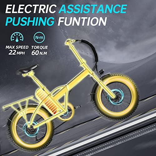 Mukkpet Electric Bike for Adults,ebike,Folding e Bike,Fat tire ebike 500W 48V 13AH Removable Lithium Battery 20 * 4.0'' Fat Tire City ebike for Adult Folding Ebike for Men Women (Black) (Black)