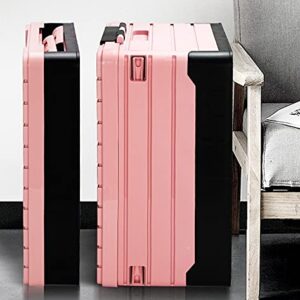 WDBBY Car Trunk Storage Box Tail Box Storage Finishing Box Storage Box Organizer Auto Stowing Tidying Interior