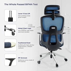 Dripex Ergonomic Office Chair Mesh Computer Desk Chairs with Lumbar Support/Adjustable Headrest/Cushioned Seat/Breathable High Back/Wheels Arms, Swivel Rolling Task Chair for Home Office (Blue)