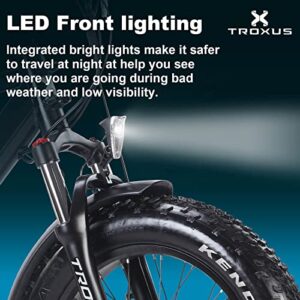 TROXUS Fat Tire Electric Bike for Adults,750W Hub Motor 48V 12.8Ah Battery, 20" x 4'' Fat Tire Ebike for Adult, Step-Thru Electric Bicycle with Shimano 7-Speed