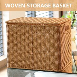 OUNONA Rattan Storage Basket with Lid Woven Shelf Baskets Plastic Handwoven Wicker Basket Organizer Boxes Home Decor for Makeup Clothes Home Items Shelves Organizing