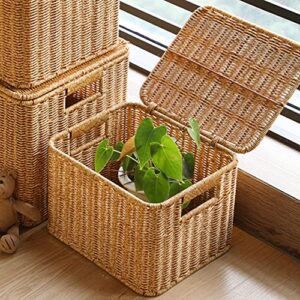 OUNONA Rattan Storage Basket with Lid Woven Shelf Baskets Plastic Handwoven Wicker Basket Organizer Boxes Home Decor for Makeup Clothes Home Items Shelves Organizing