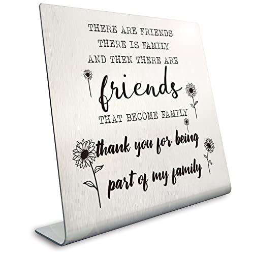 Friendship Gift for Women Friend Gifts for Your Best Friend Going Away Gifts Plaque for Coworker Women Stainless Steel Retirement Gifts Birthday Gifts for Woman Friendship Keepsake Decor