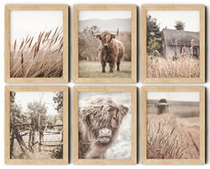 vicbou highland cow wall art highland cow decor farmhouse wall decor farm animal cow print stuff rustic wheat field landscape print painting for home kitchen bathroom living room, 6pcs, 8×10 unframed