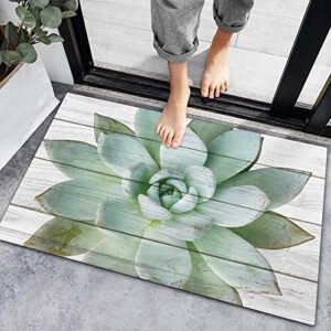 welcome doormat spring green succulents rustic wood board,non slip indoor floor mat bath rug,tropical cactus entrance carpet for bedroom kitchen living room bathroom decor 16x24in